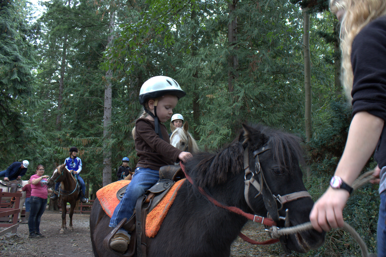 Hibler House: Lang's Pony Farm