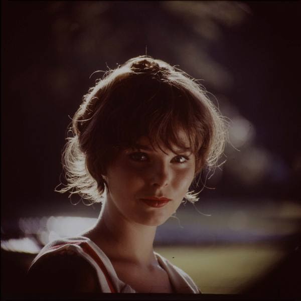 Loose Leaf Tigers: all the king's women #14 - anne helm