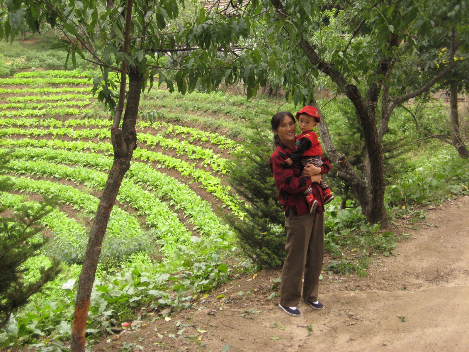 Bonza in North Korea: Day 4 - b) Mt Chilbo to Chongjin