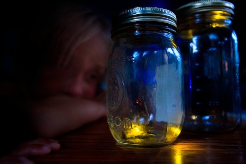 oo71osu: Fireflies In A Jar At Night
