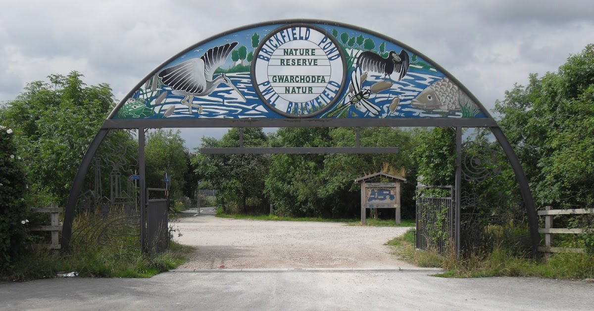 Rhyl Life: AT THE BRICKFIELD