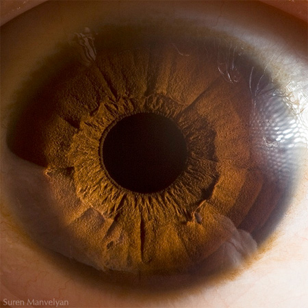 Amazing Photos of Human Eyes - Oddpedia.com