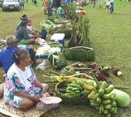 AGRICULTURE OF NIUE ~ Klima Naturali™