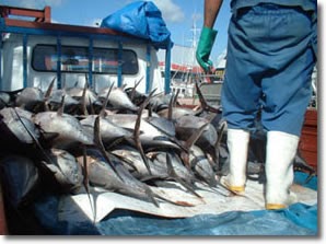 ECONOMY OF SAMOA ~ Klima Naturali™