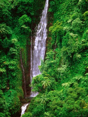 SAMOA - WATERFALLS IN SAMOA