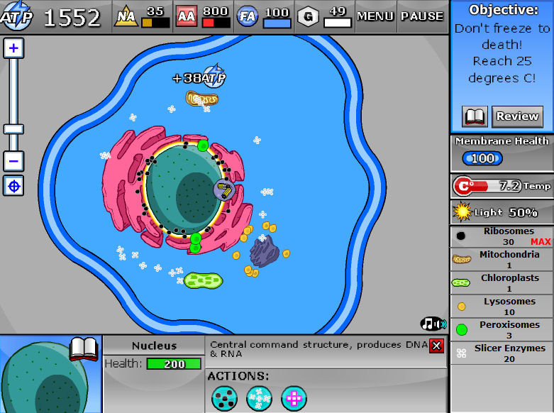 Brainossome: Jogos/Aplicações