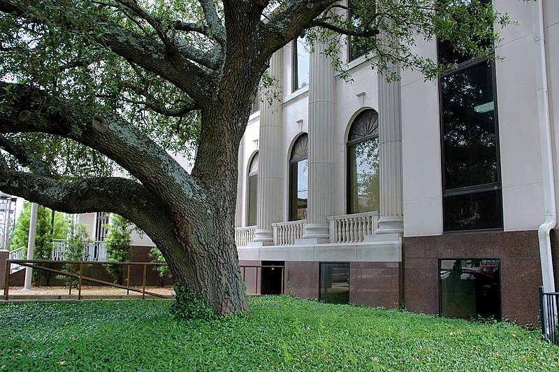 Selma, Ala. Daily Photo: Dallas County Courthouse Architecture