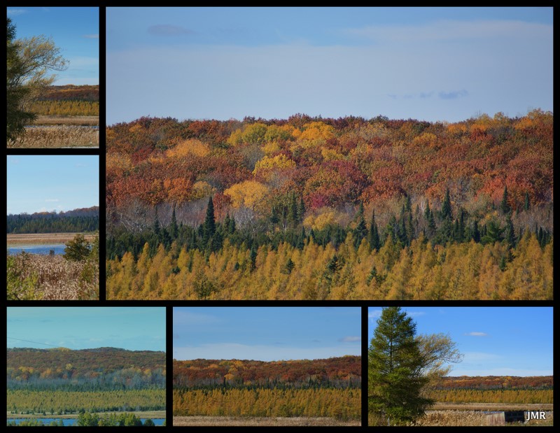 THE VILLAGE VOICE: OCTOBER JOY ~ AUTUMN MINI-ROAD TOUR (HUBBARD LAKE, MI)