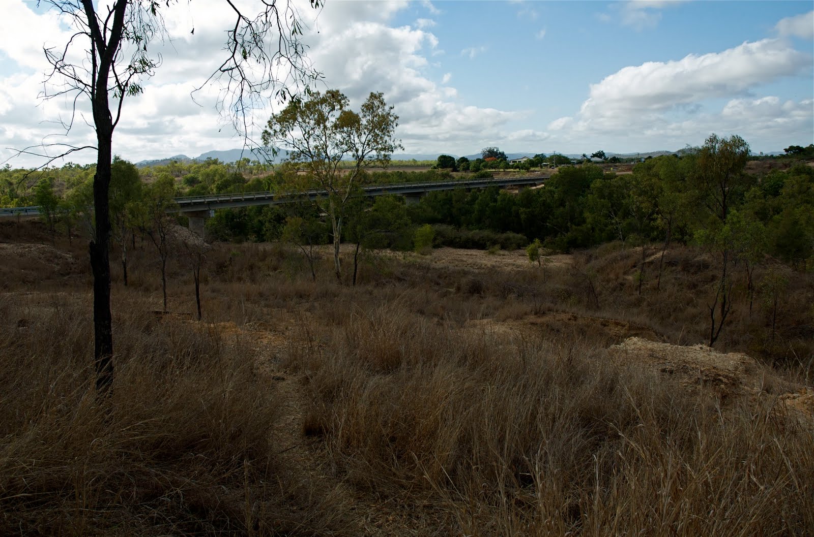 Avan Touring in Australia: Reid River Rest Area - Mon 16th November