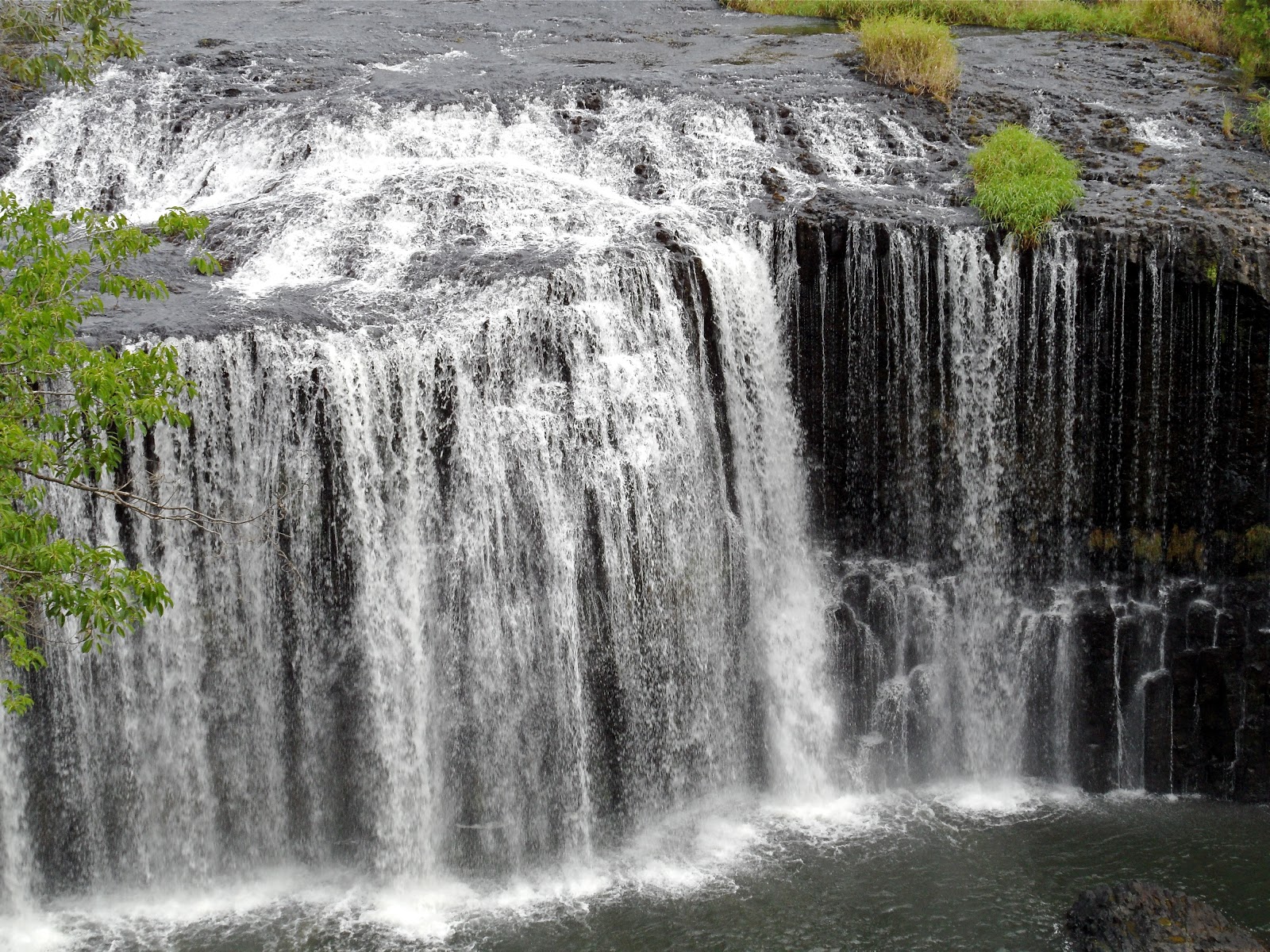 Avan Touring in Australia: Ravenshoe
