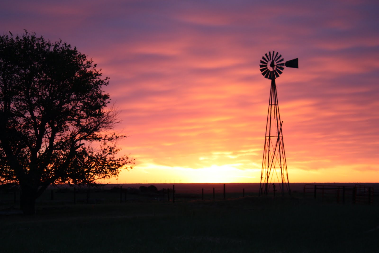 Life Captured by Katy: Sunrise on the farm
