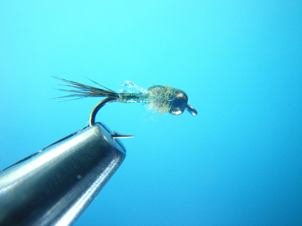 cp's fly fishing and fly tying: New mayfly nymph pattern - BWO colors