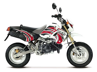 Bikerheaven: mini motorcycle Kawasaki KSR 1