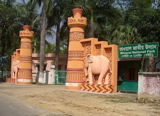 Tour Forest for Amusement: Bhawal National Park, Gazipur