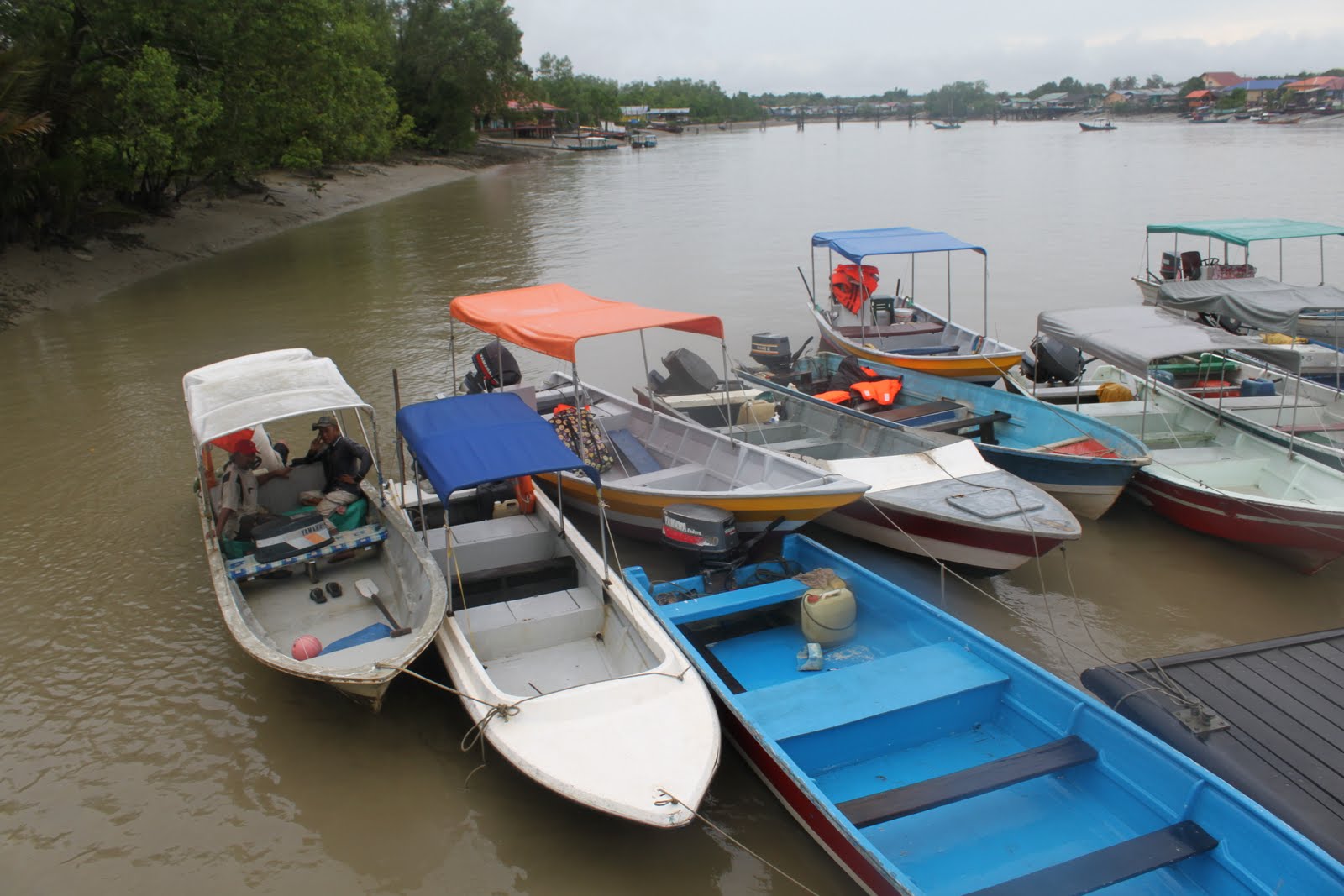 Asia Travel Stories: Sarawak: Bako National Park, Part 1 of 3
