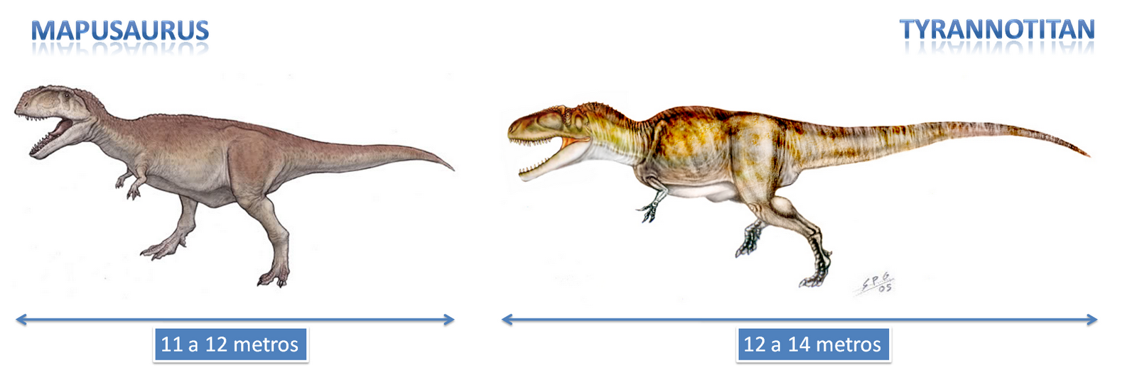 Dinowamas Escala De Depredadores Argentinos