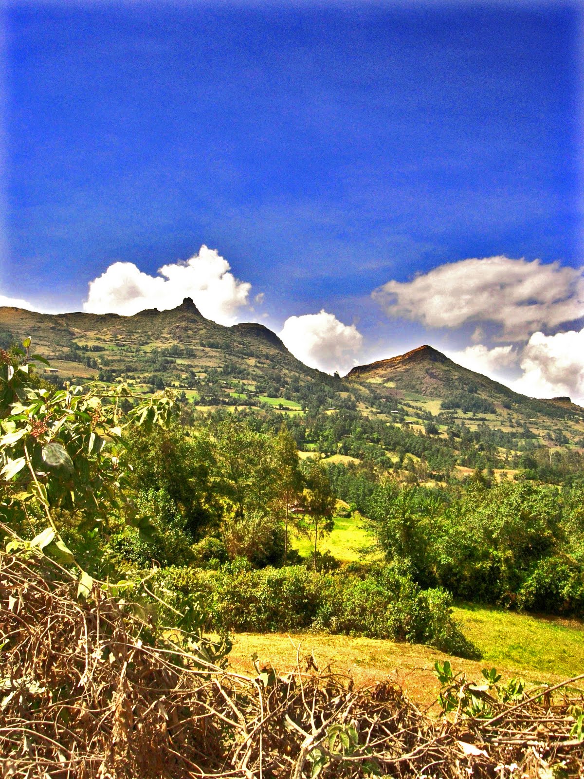 El Llapino: Acerca de Llapa, en la Web. - Historia e historias.