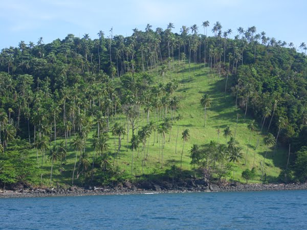 KABUPATEN KAYONG UTARA ~ AYEK BORNEO