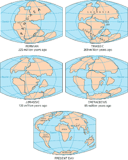 Pangea!!: How Pangea Changed.