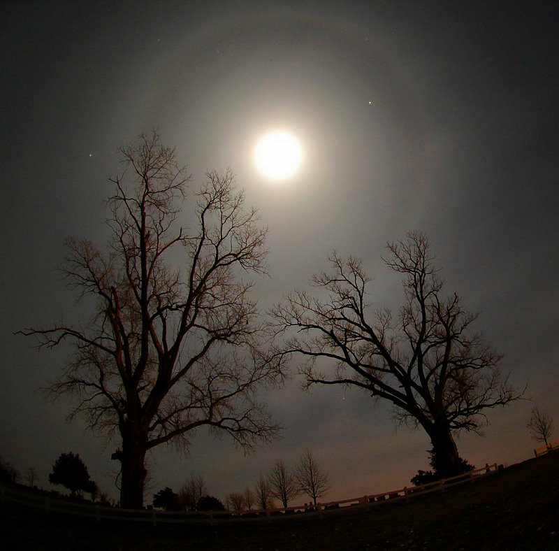 sfatuitoarea: Haloul