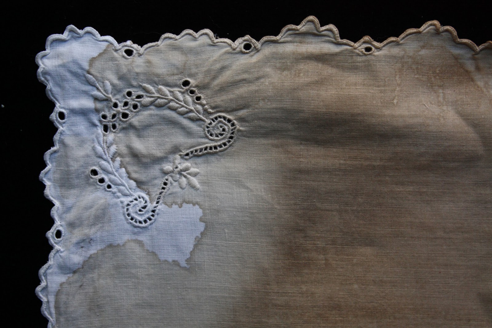 Pictures From My Window