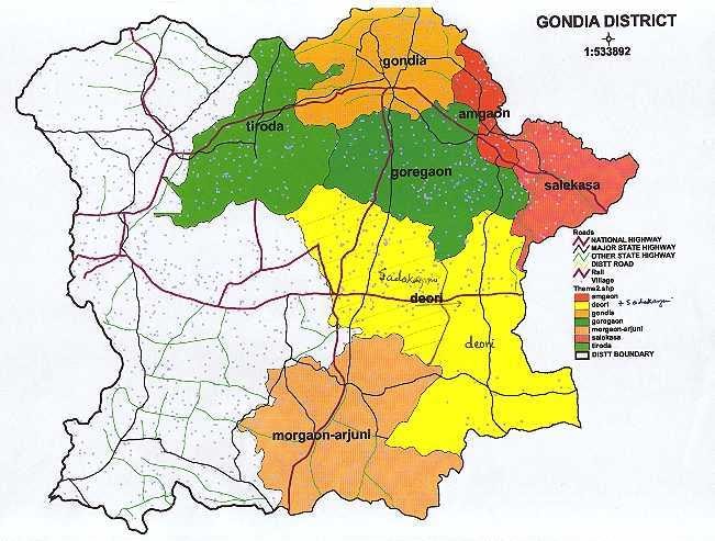 PRAMOD BHAVE'S BLOG: My Home District: Gondia (Maharashtra)