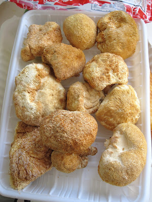 Cannundrums: Monkey Head Mushrooms