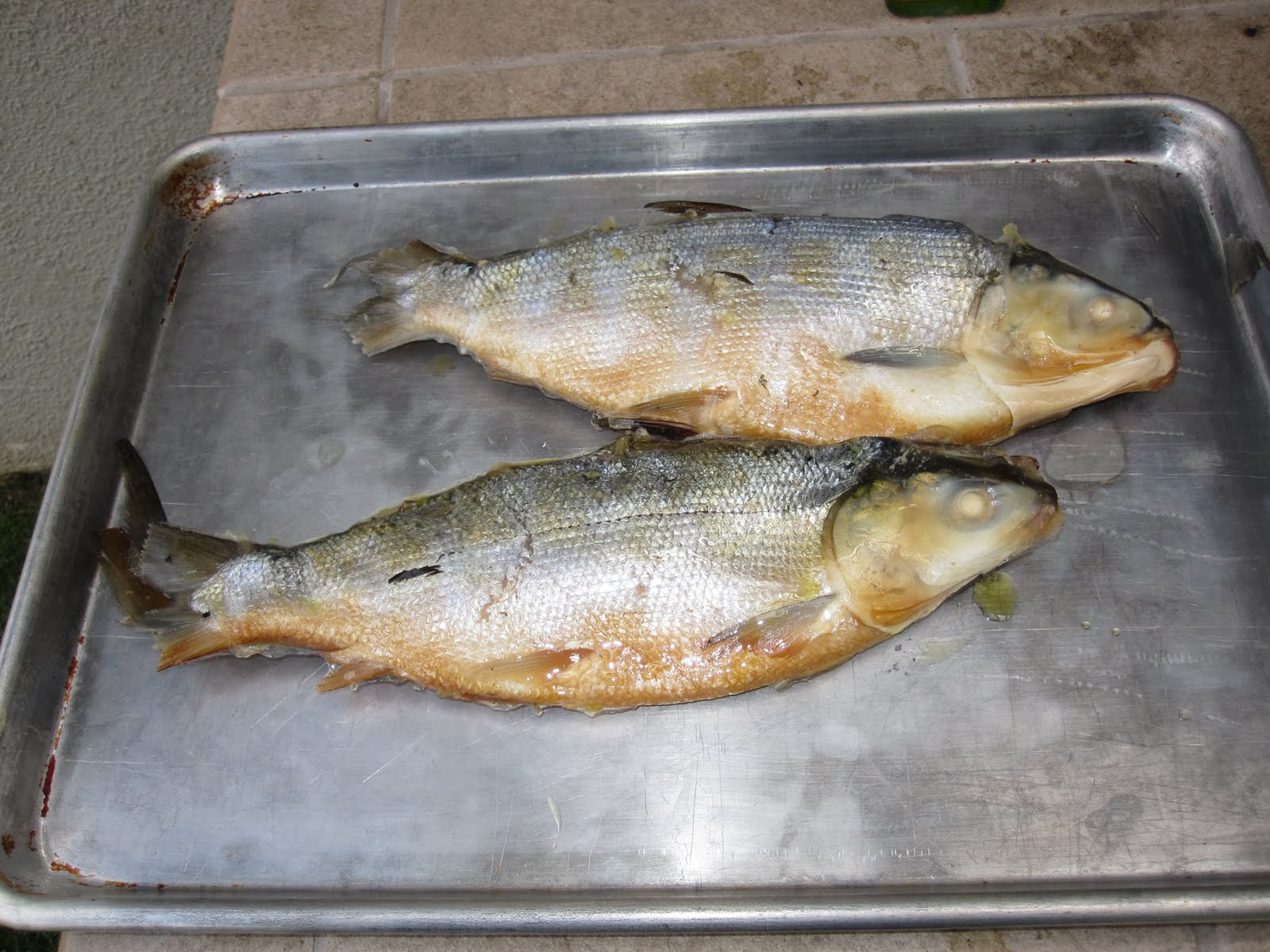 Cannundrums: Smoked, Deboned and Grilled Milkfish