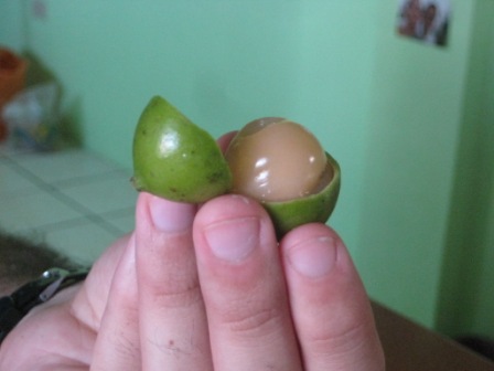 "Not all Who Wander are Lost": August 2010