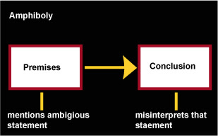 Logical Principles: Informal Fallacies: Fallacies of Ambiguity