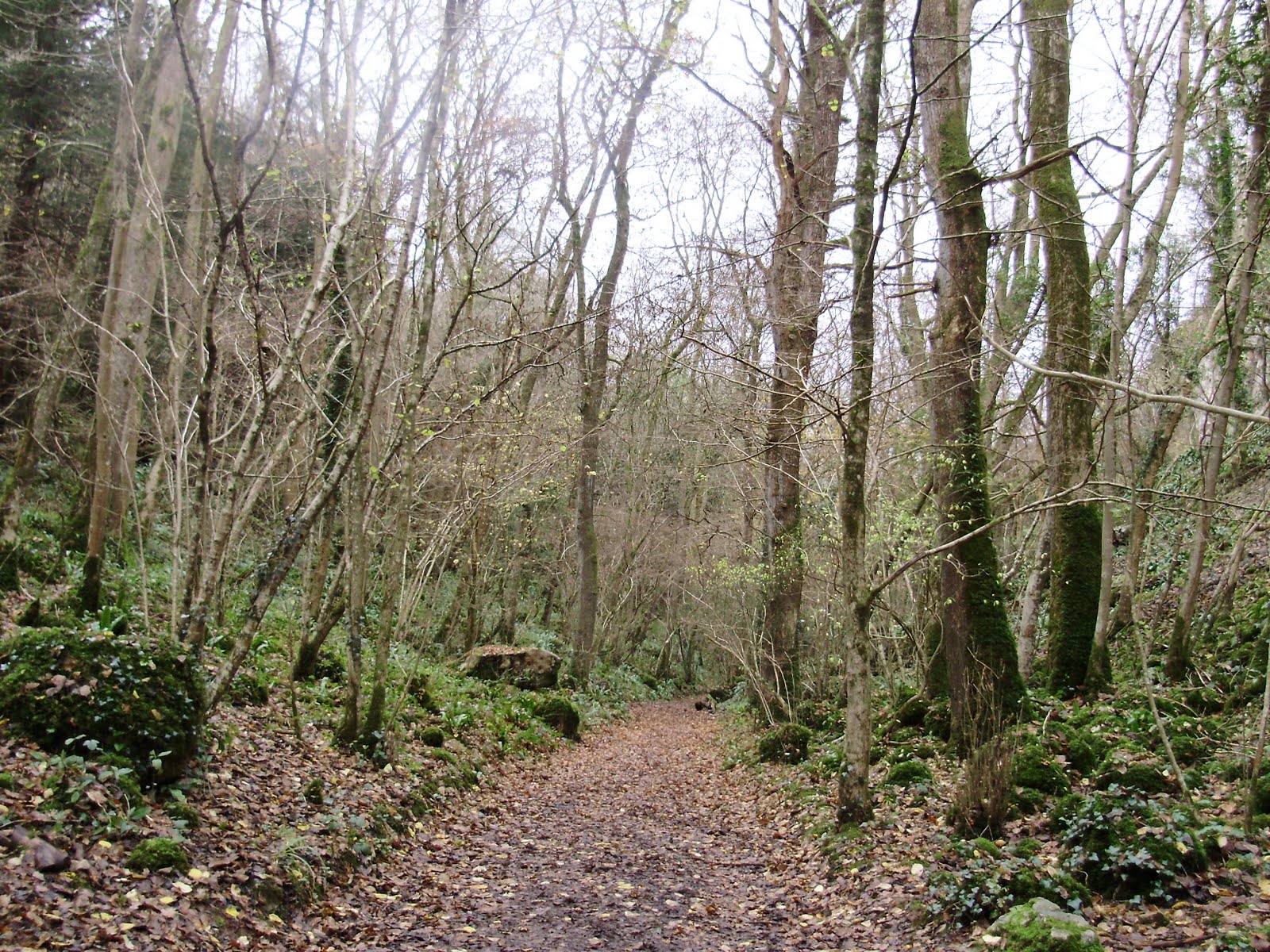 The Faery Folklorist: Goblin Combe