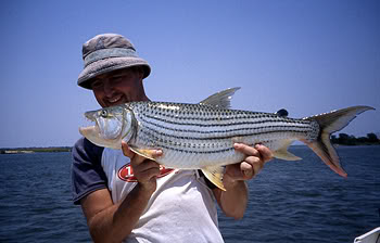 จ้าวน้อยฟิชชิ่ง ตกปลาฮาเฮ เร่ไปเพราะใจสั่งมา: African Tiger Fish พยัค ...