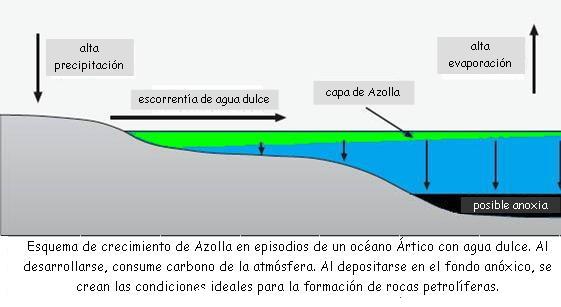 cambio climático, energía: El episodio Azolla