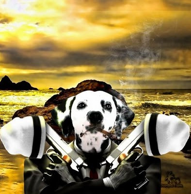 Αποκριάτικες Στολές και γιά ΣΚΥΛΟΥΣ - Η ΔΙΑΔΡΟΜΗ