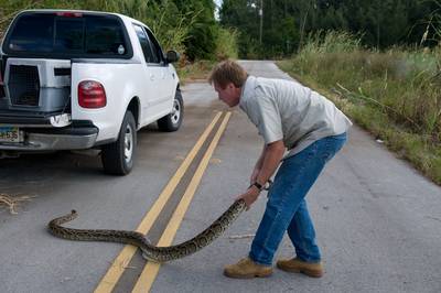 The Dog Blog: Animal uprising: sensationalism at its most entertaining