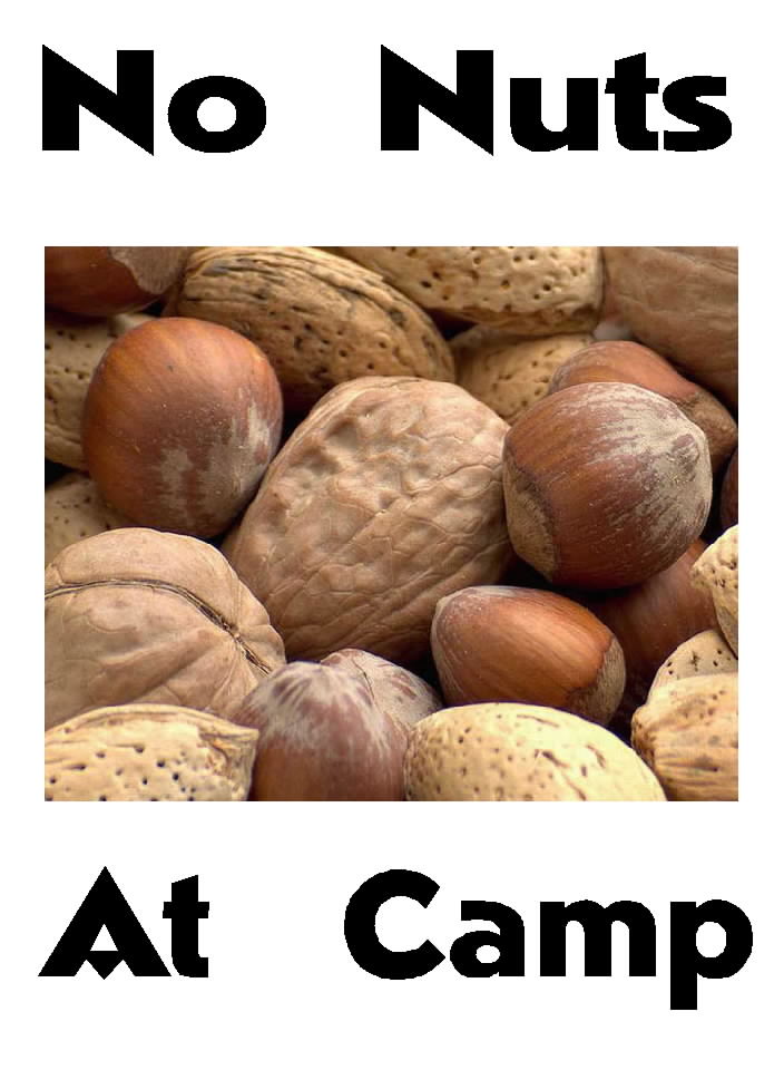 Free Posters and Signs: no nuts at camp