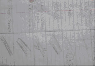 forensics: Hair Analysis used in Forensic Science