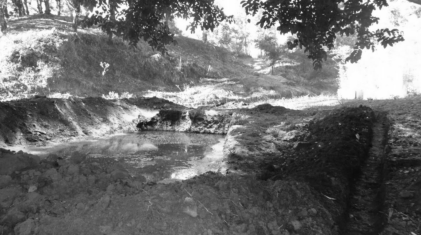 Periódico Altavoz: DENUNCIA ANTE SEMARNAT POR CONTAMINACIÓN DE LA ... Periódico Altavoz: DENUNCIA ANTE SEMARNAT POR CONTAMINACIÓN DE LA ...