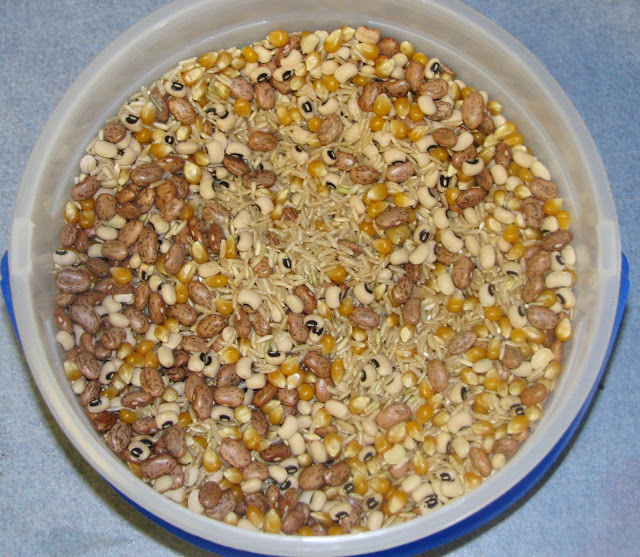 Living Creatively: Sensory Bowl