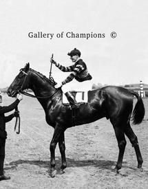 All About Horses: Man 'O' War