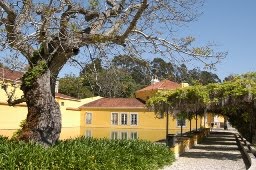 CINTRASEUPOVO: FÁBRICA DA POLVORA EM BARCARENA