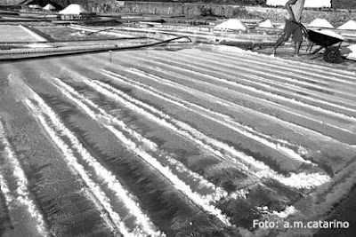 FOTOEVASÃO: Uma tarde nas Salinas de Rio Maior FOTOS DE SAL 29 de ...