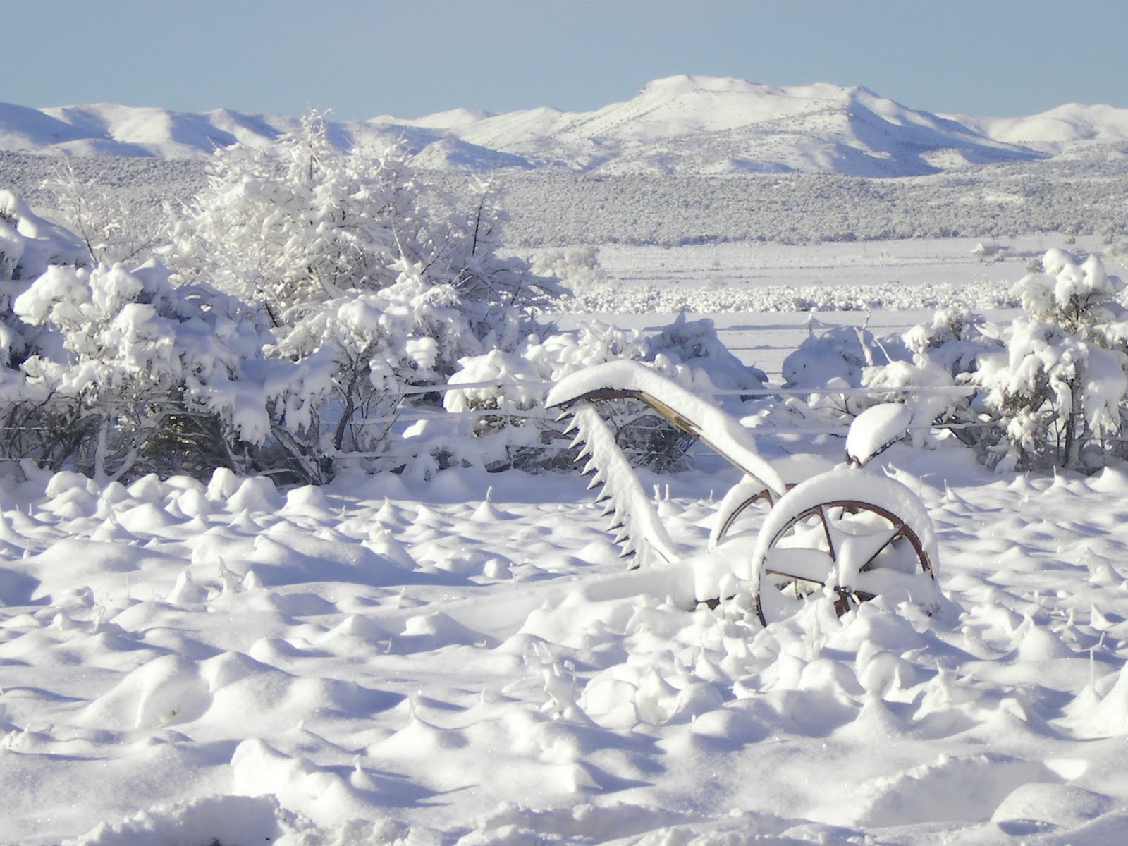 what in the wide world