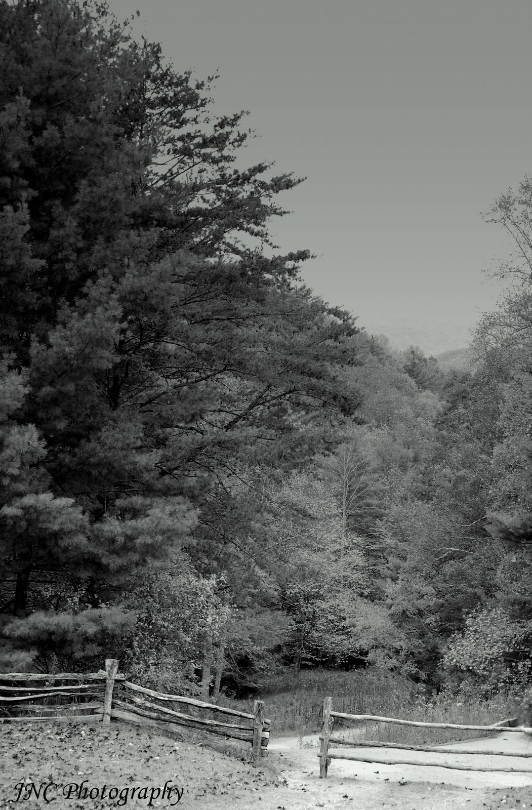 Nature... Subtle But Strong | JNC Photography