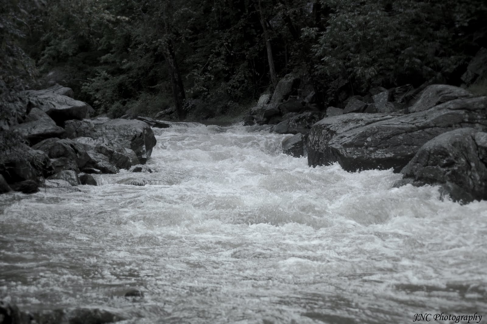 Nature... Subtle But Strong | JNC Photography