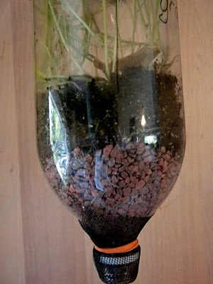 Scribbit | Motherhood in Alaska: Kids' Summer Crafts: Build an Ecosystem