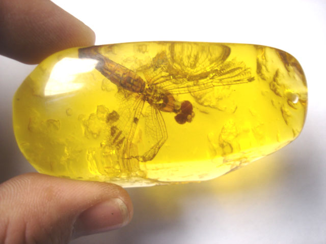 Ashley Kilmartin Science Blog