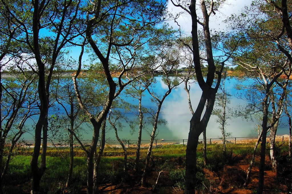 Weekend Trip Baguio: Mount Santo Tomas, November 2009