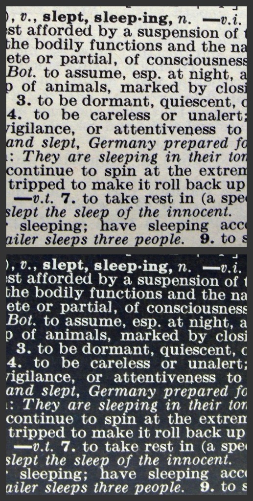 The Adventures of SZSRocks: 2/6/11 - 2/13/11