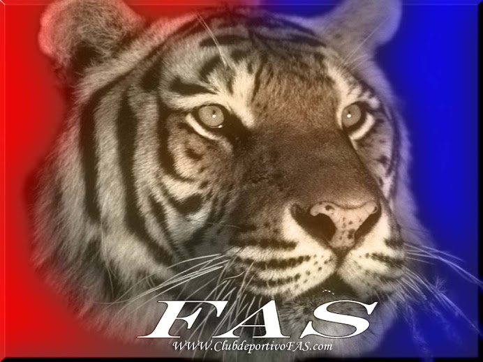 FAS_TANECOS: JUGADORES NOTABLES DE CLUB DEPORTIVO FAS